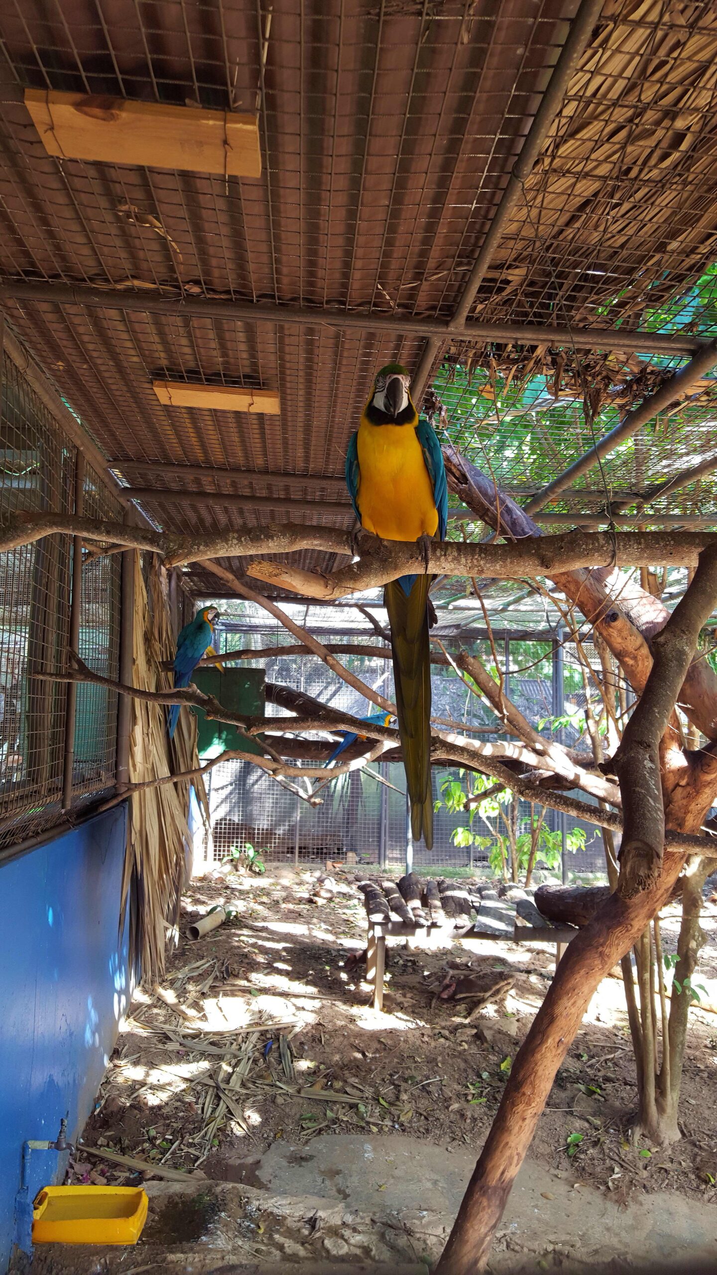 Emperor Valley Zoo: Destination Trinidad and Tobago | Tours, Holidays ...