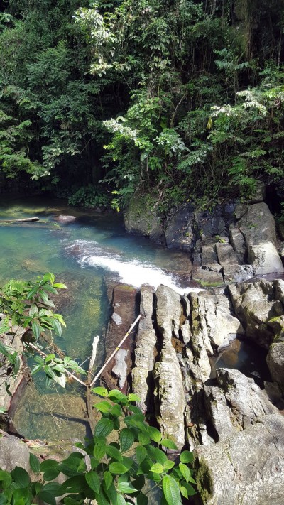 3 Pools: Destination Trinidad and Tobago | Tours, Holidays, Vacations ...