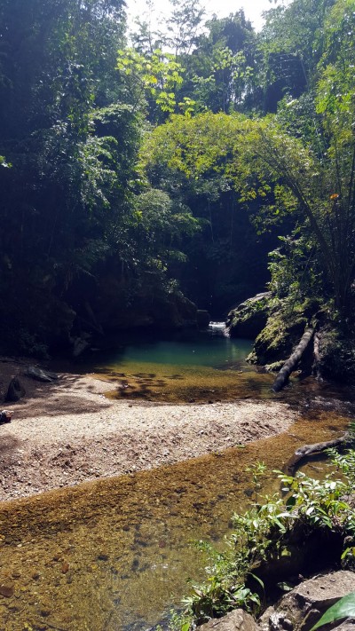 3 Pools: Destination Trinidad and Tobago | Tours, Holidays, Vacations ...