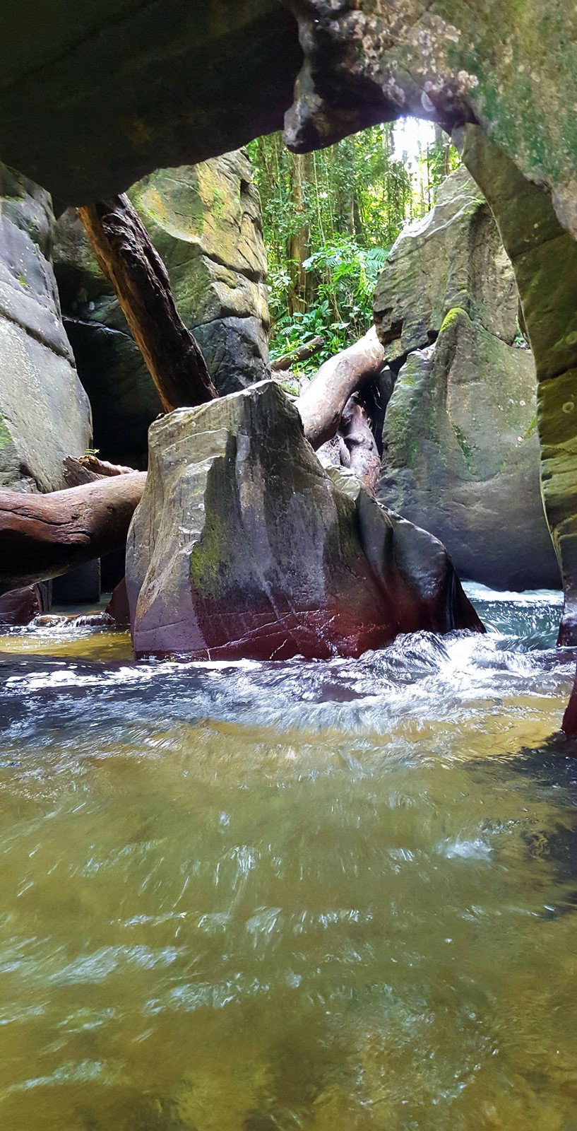 3 Pools: Destination Trinidad and Tobago | Tours, Holidays, Vacations ...