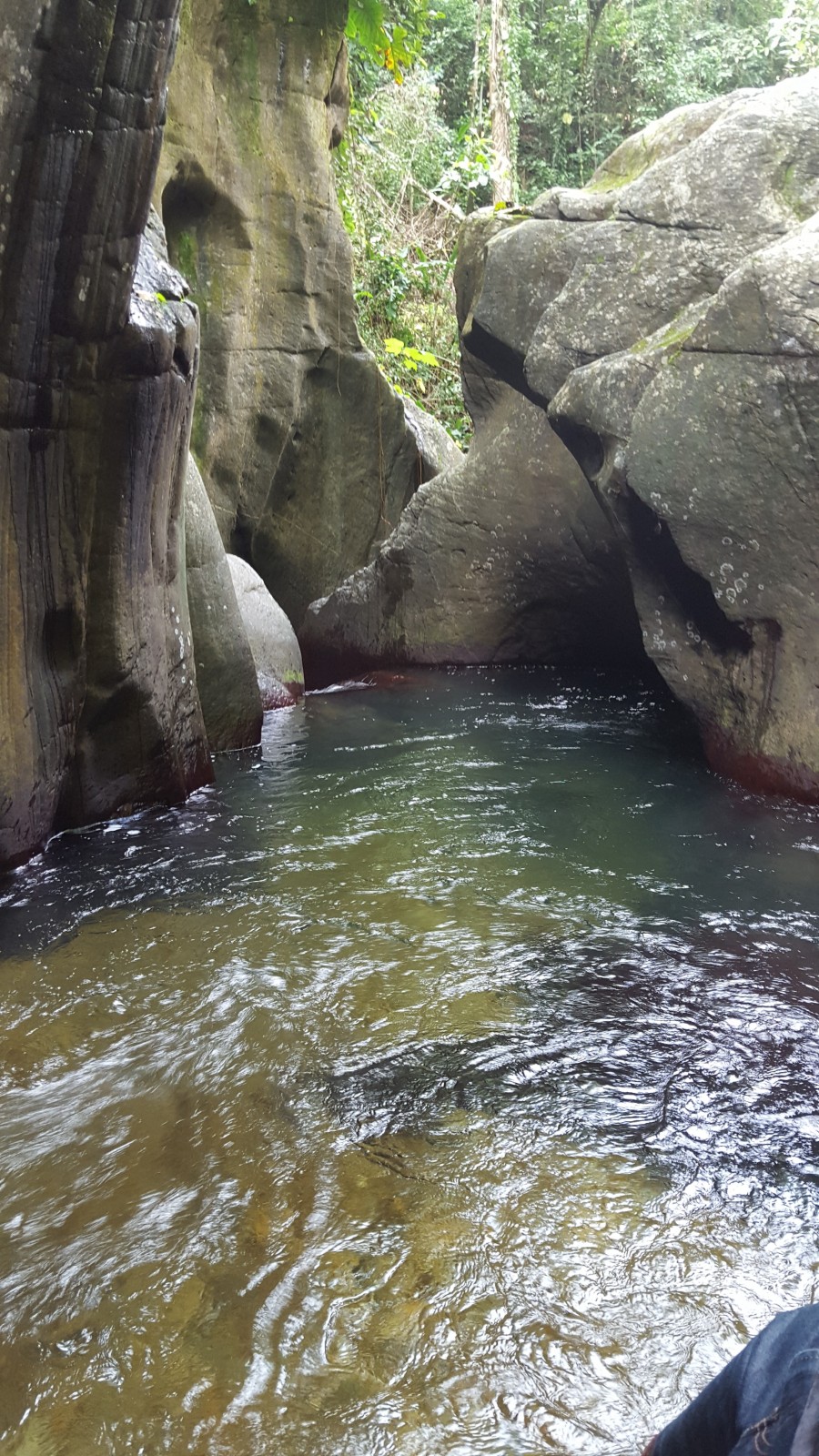 3 Pools: Destination Trinidad and Tobago | Tours, Holidays, Vacations ...