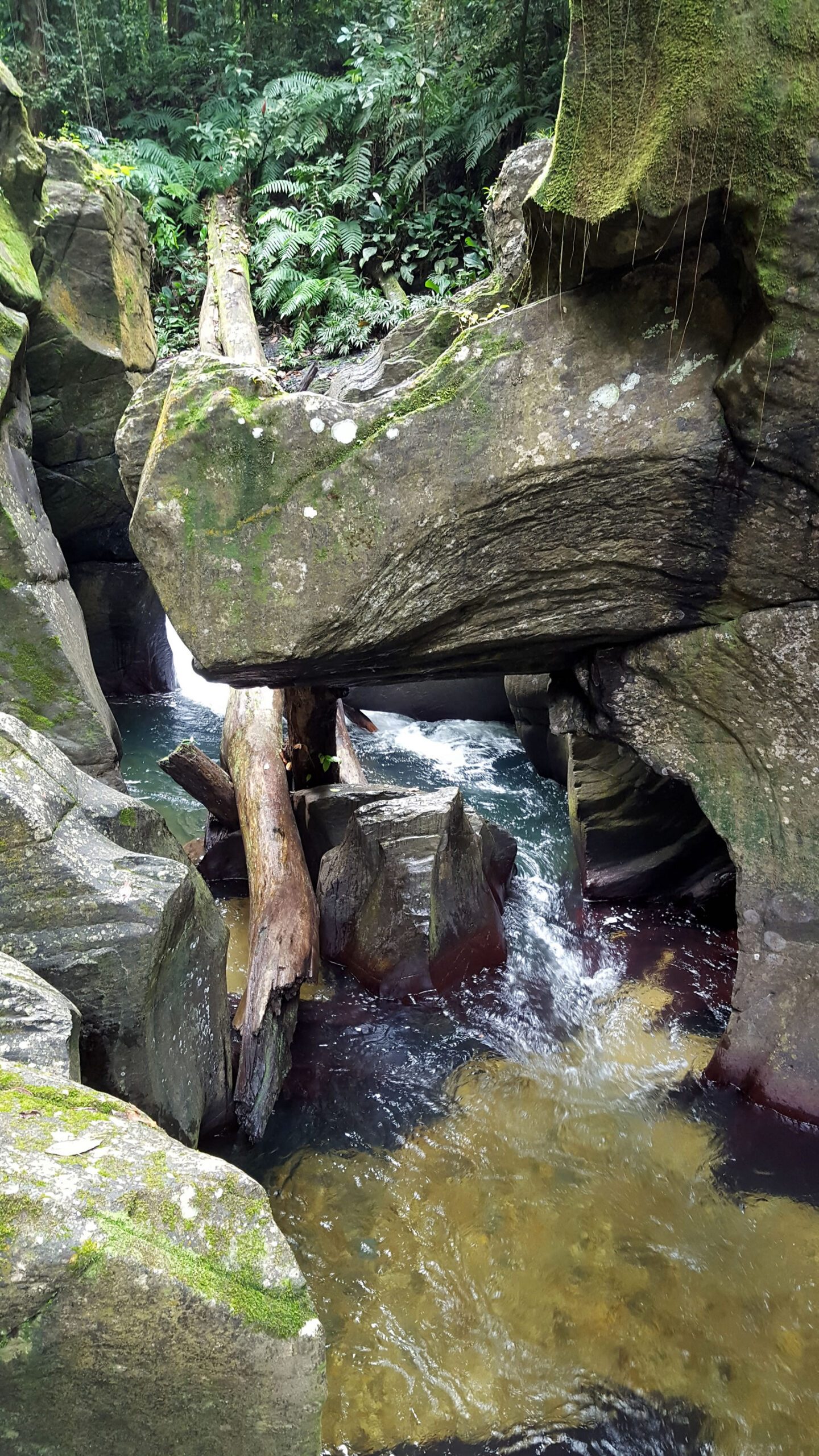 3 Pools: Destination Trinidad and Tobago | Tours, Holidays, Vacations ...