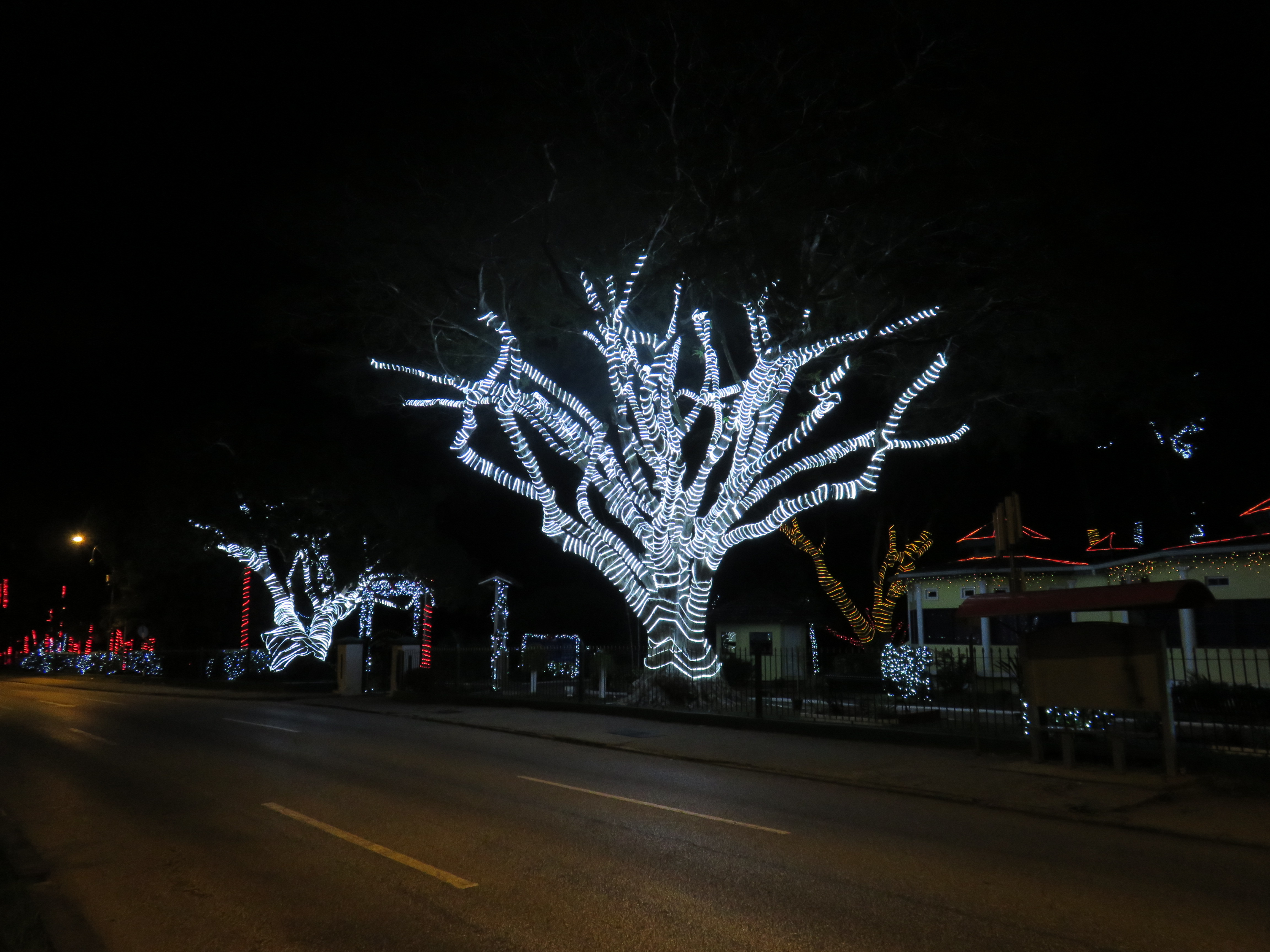 The Best Destinations in Trinidad to get into the spirit of Christmas ...