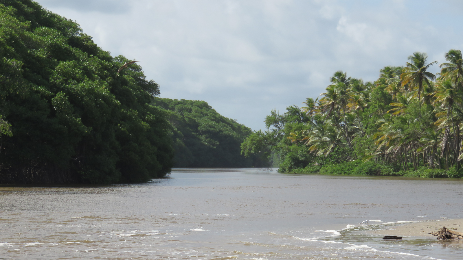 Manzanilla Beach Destination Trinidad And Tobago Tours Holidays Manzanilla Beach Destination Trinidad And Tobago Tours Holidays