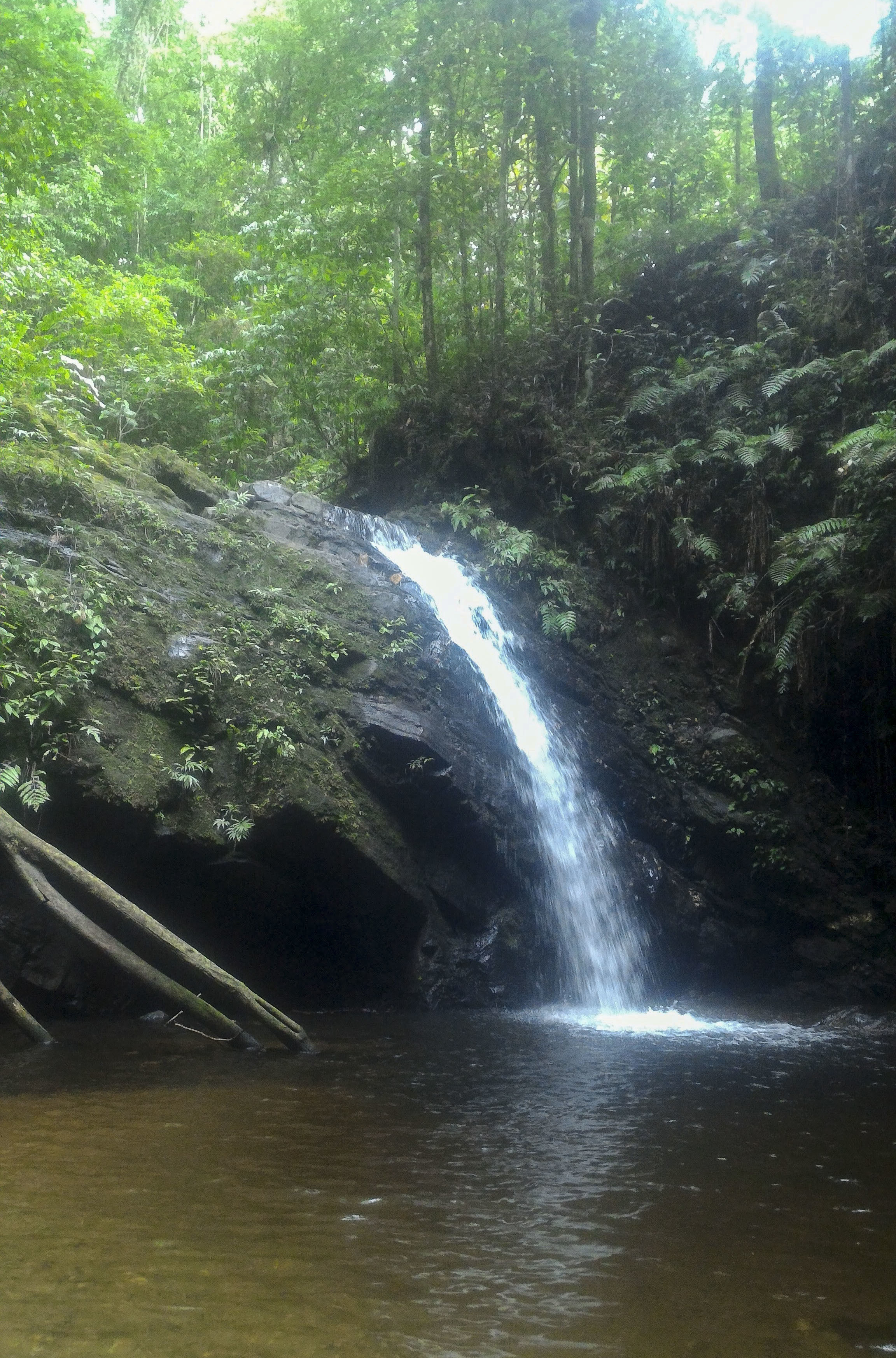 Matelot to Toco, Toco to Matura: Five Activities for your Weekend on ...