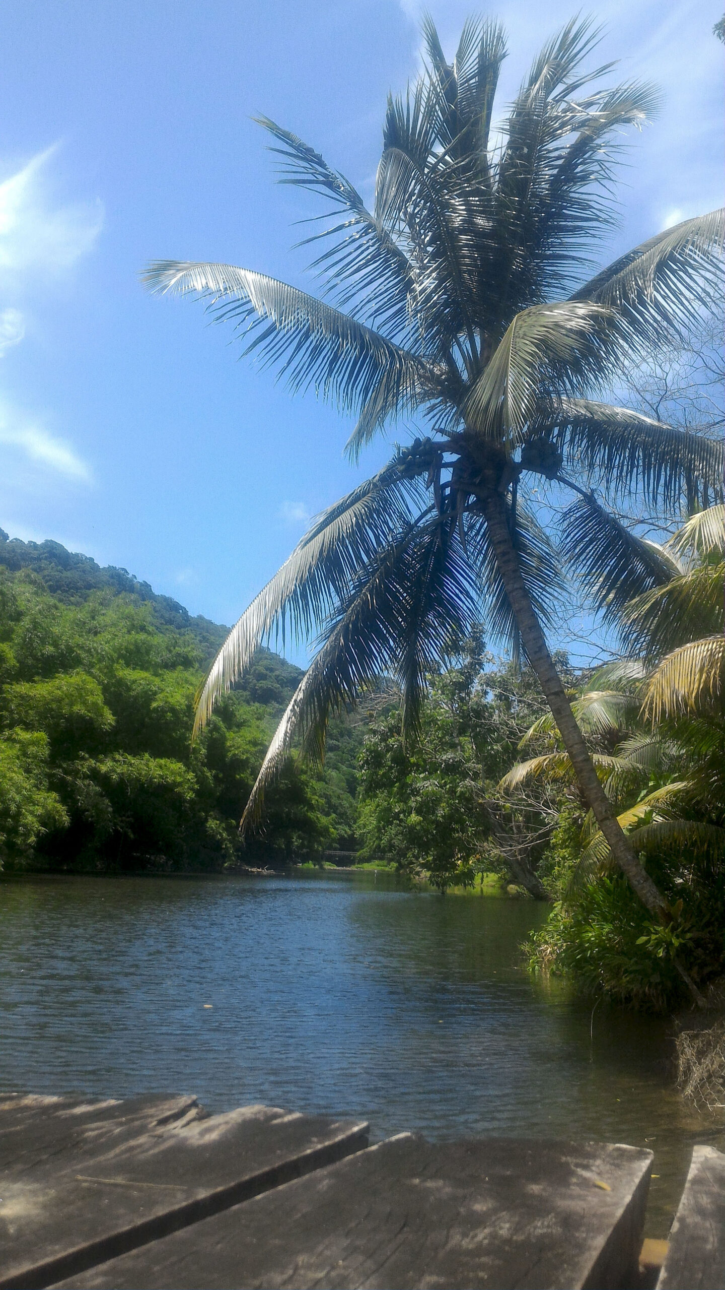 Matelot to Toco, Toco to Matura: Five Activities for your Weekend on ...