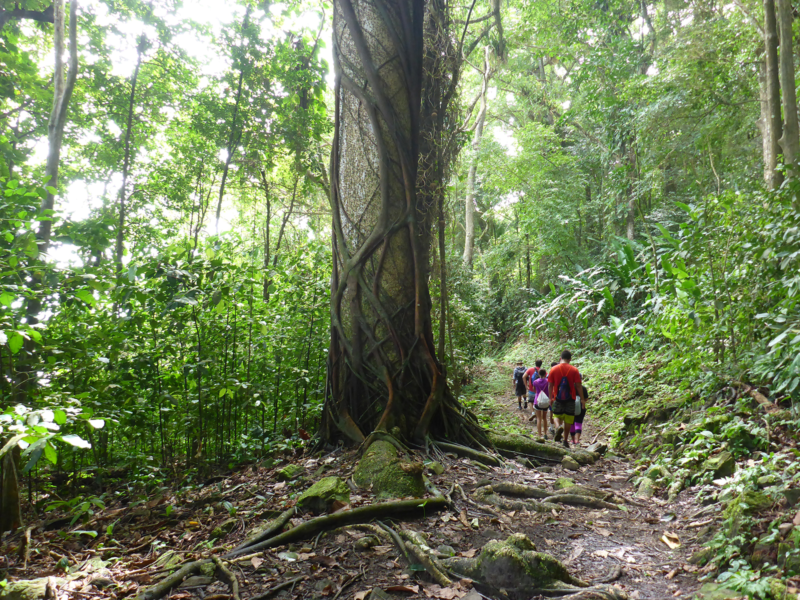 Paria Beach: Destination Trinidad and Tobago | Tours, Holidays ...