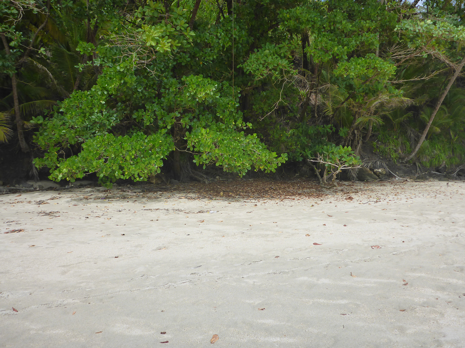 Paria Beach: Destination Trinidad and Tobago | Tours, Holidays ...