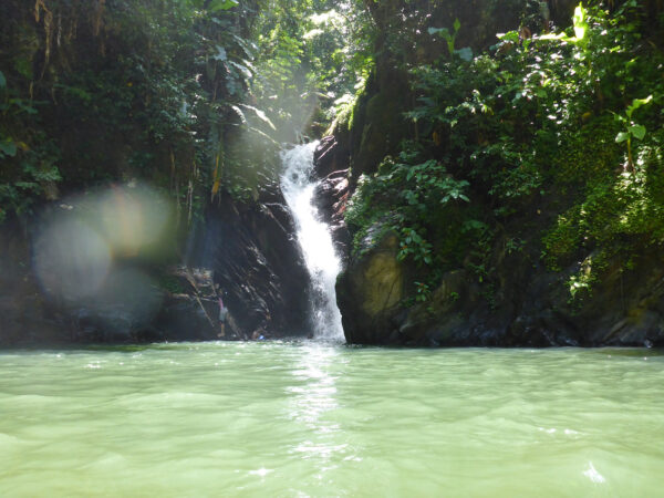 Seven of the Best Waterfalls in Trinidad and Tobago: Destination ...