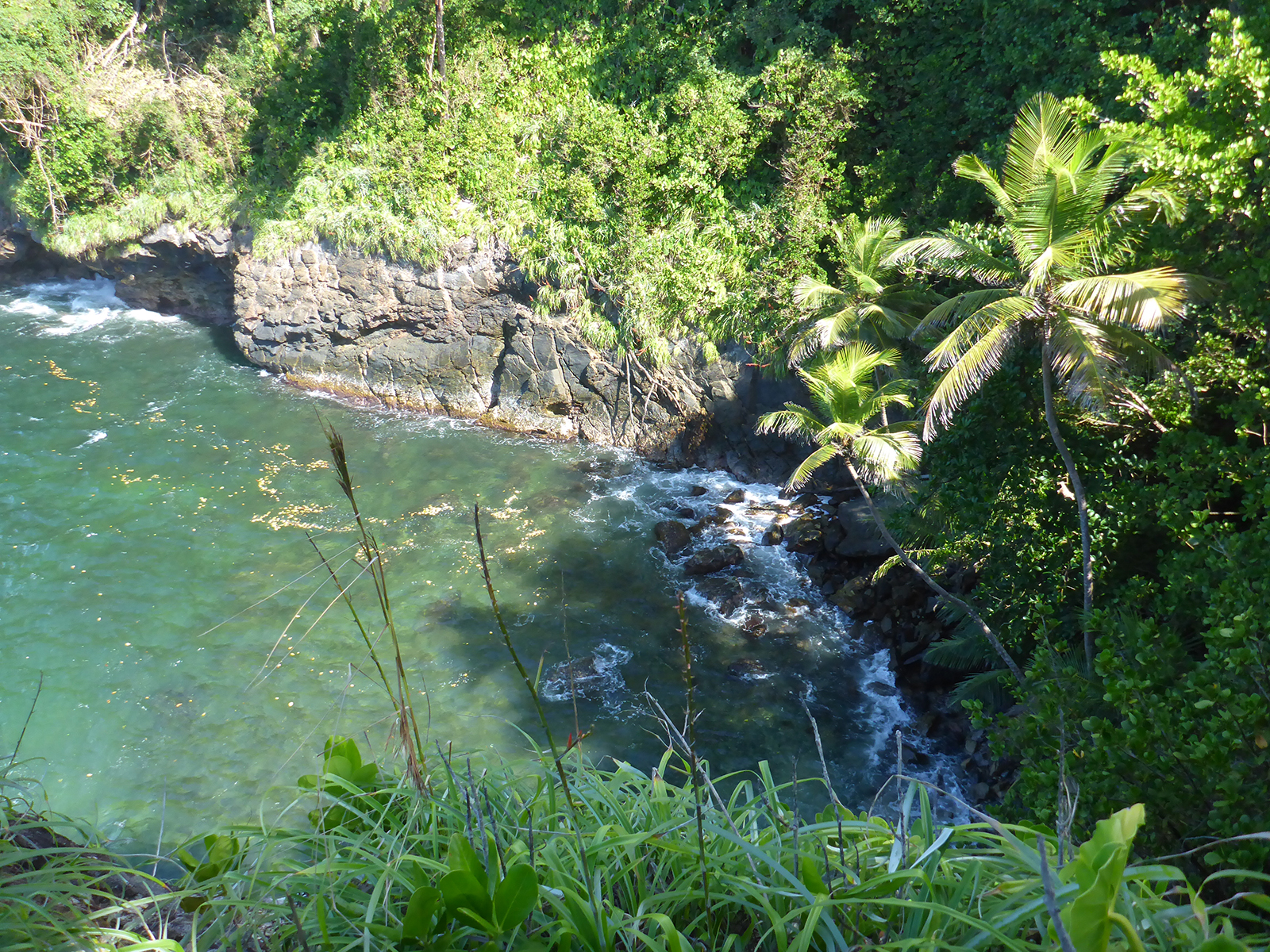 Paria Beach: Destination Trinidad and Tobago | Tours, Holidays ...