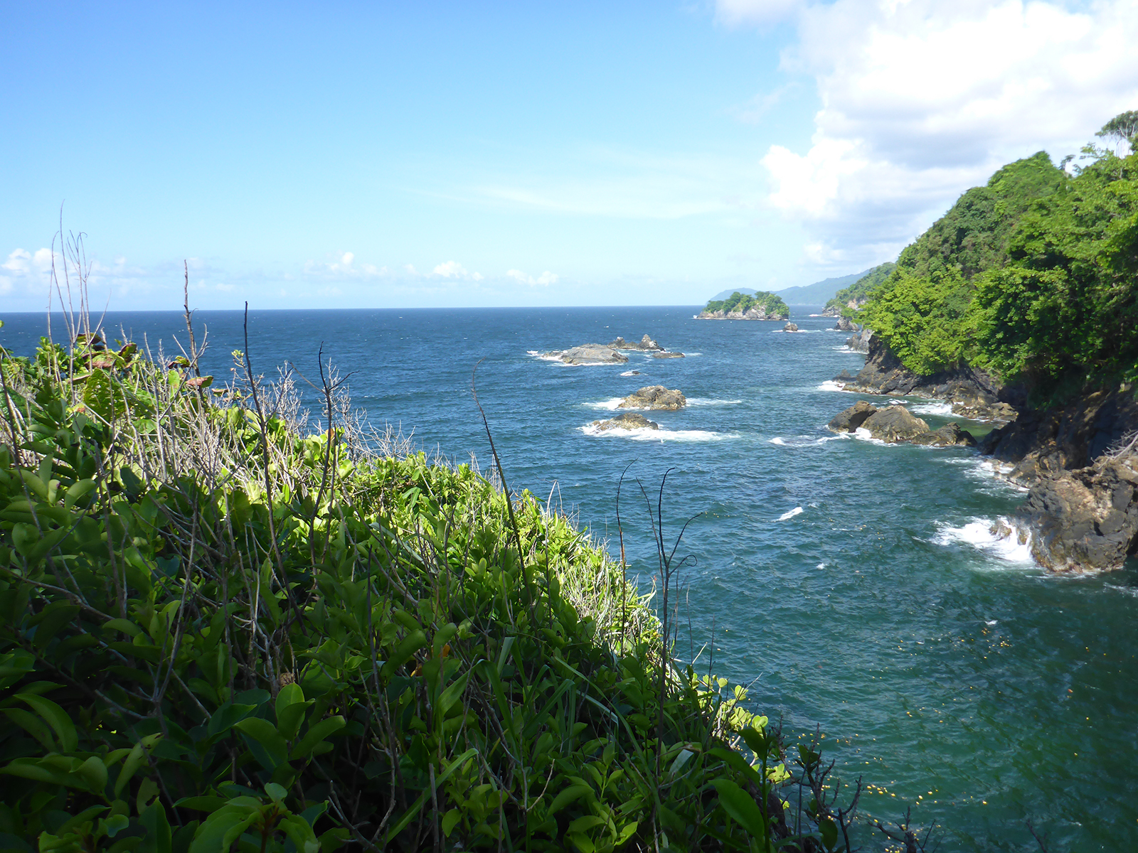 Paria Beach: Destination Trinidad and Tobago | Tours, Holidays ...