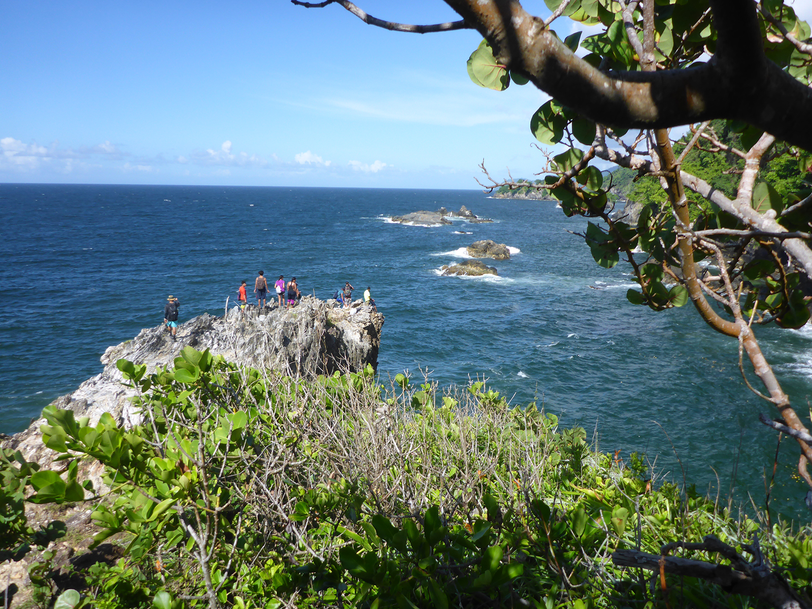 Paria Waterfall Adventure with Boat Transport: Destination Trinidad and ...
