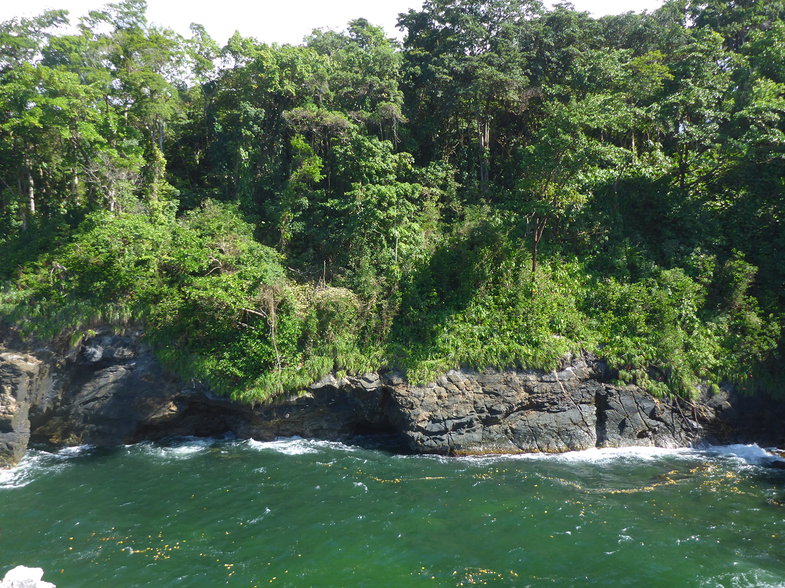 Paria Beach: Destination Trinidad and Tobago | Tours, Holidays ...