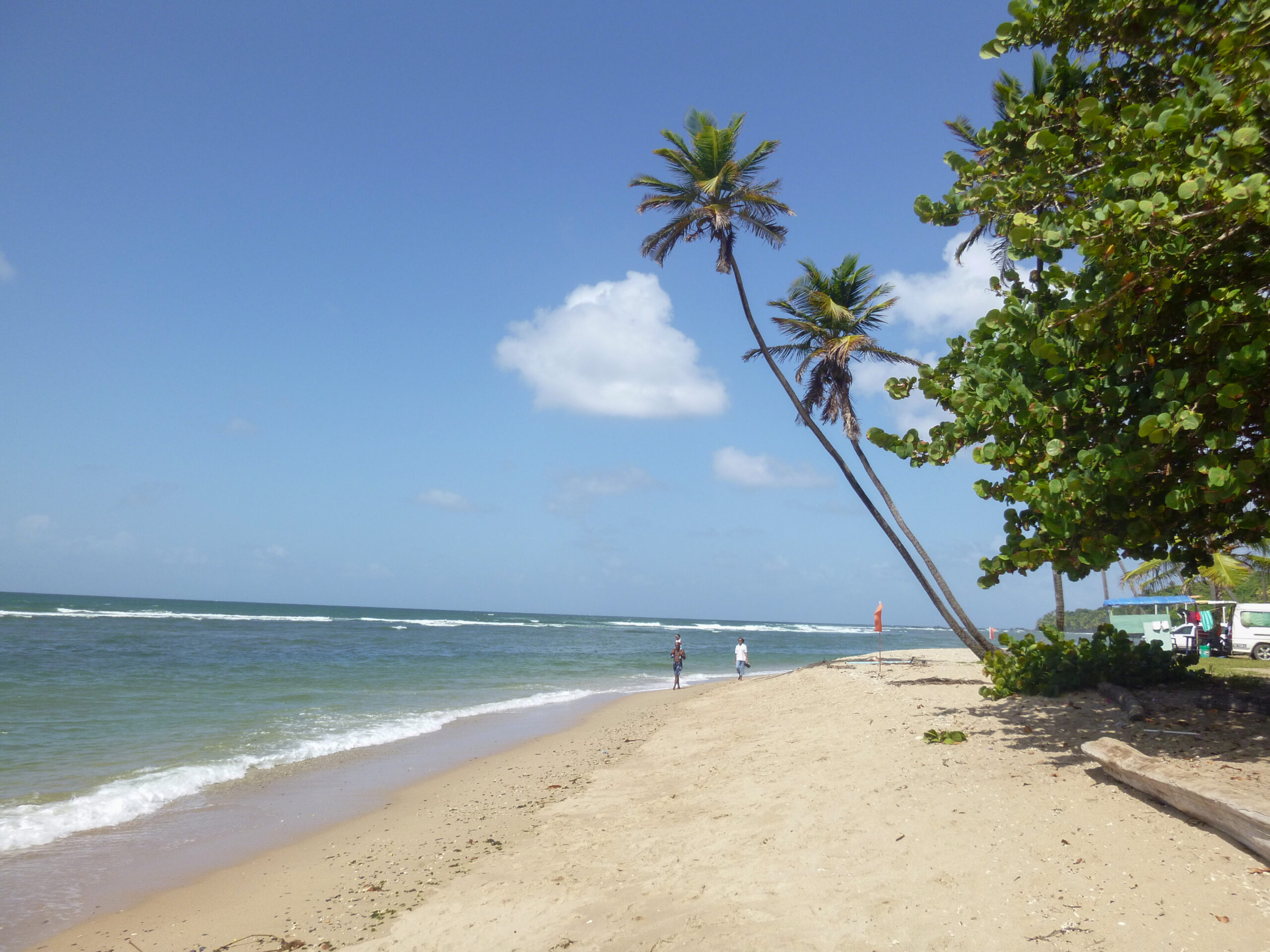 Salybia Bay: Destination Trinidad and Tobago | Tours, Holidays ...