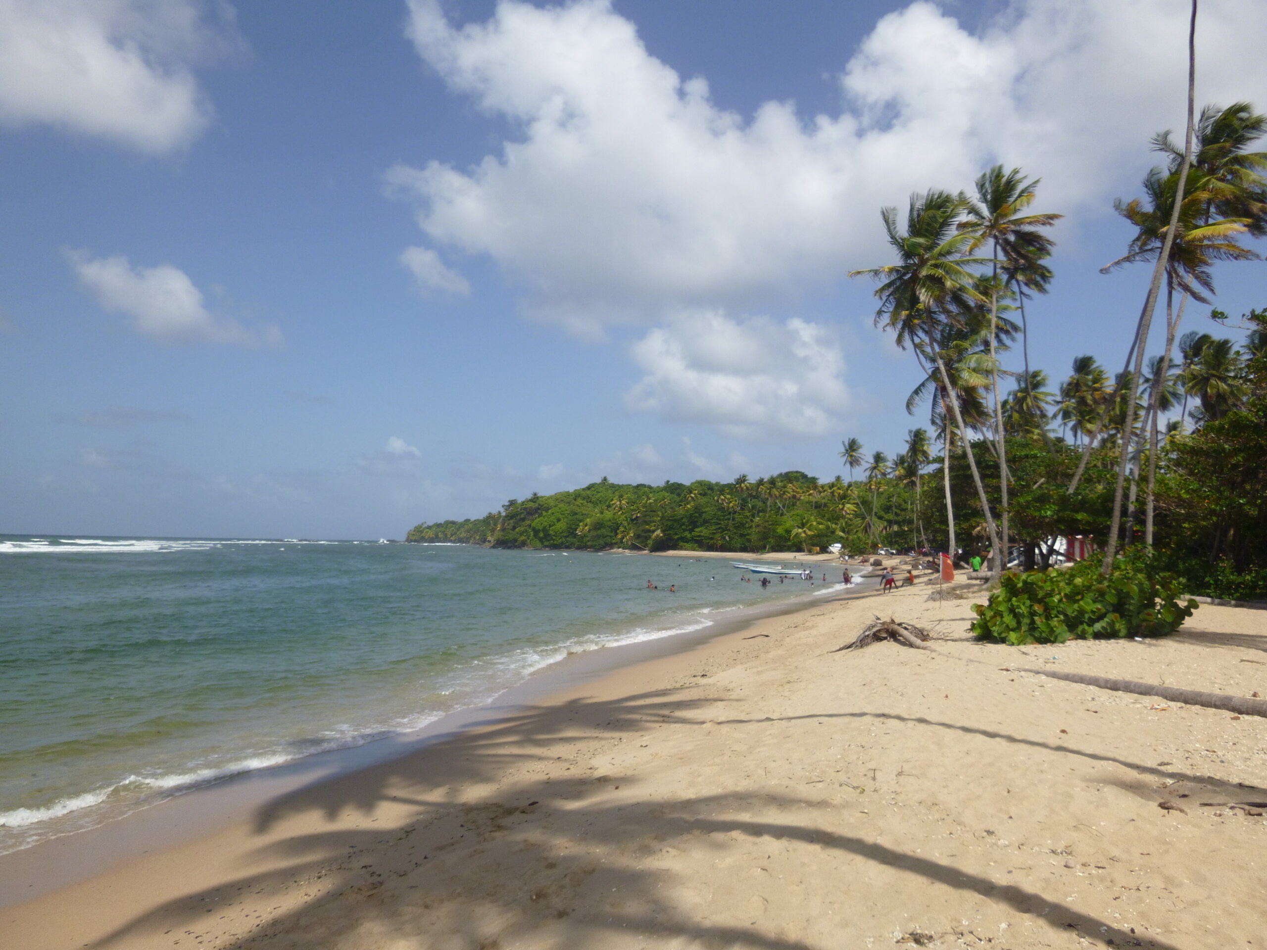Salybia Bay: Destination Trinidad and Tobago | Tours, Holidays ...