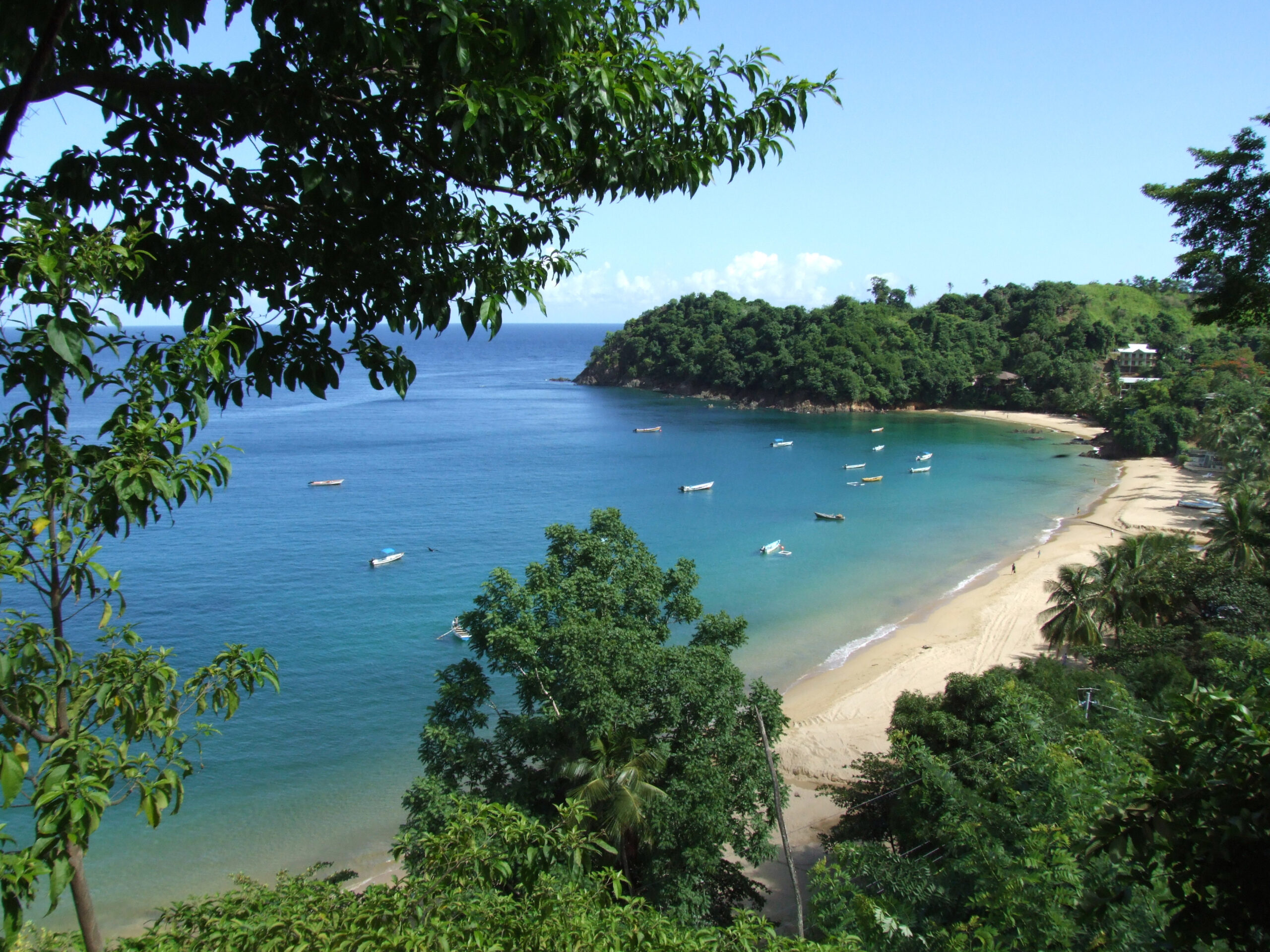 Castara Retreats: Destination Trinidad and Tobago | Tours, Holidays ...