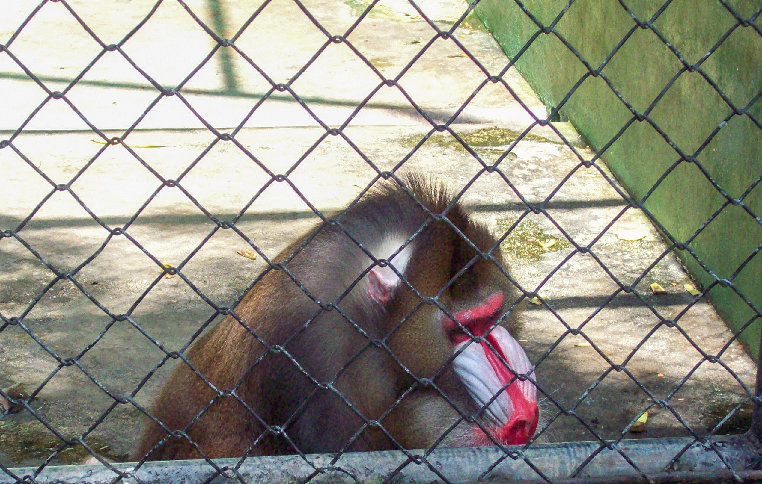 Emperor Valley Zoo: Destination Trinidad and Tobago | Tours, Holidays ...