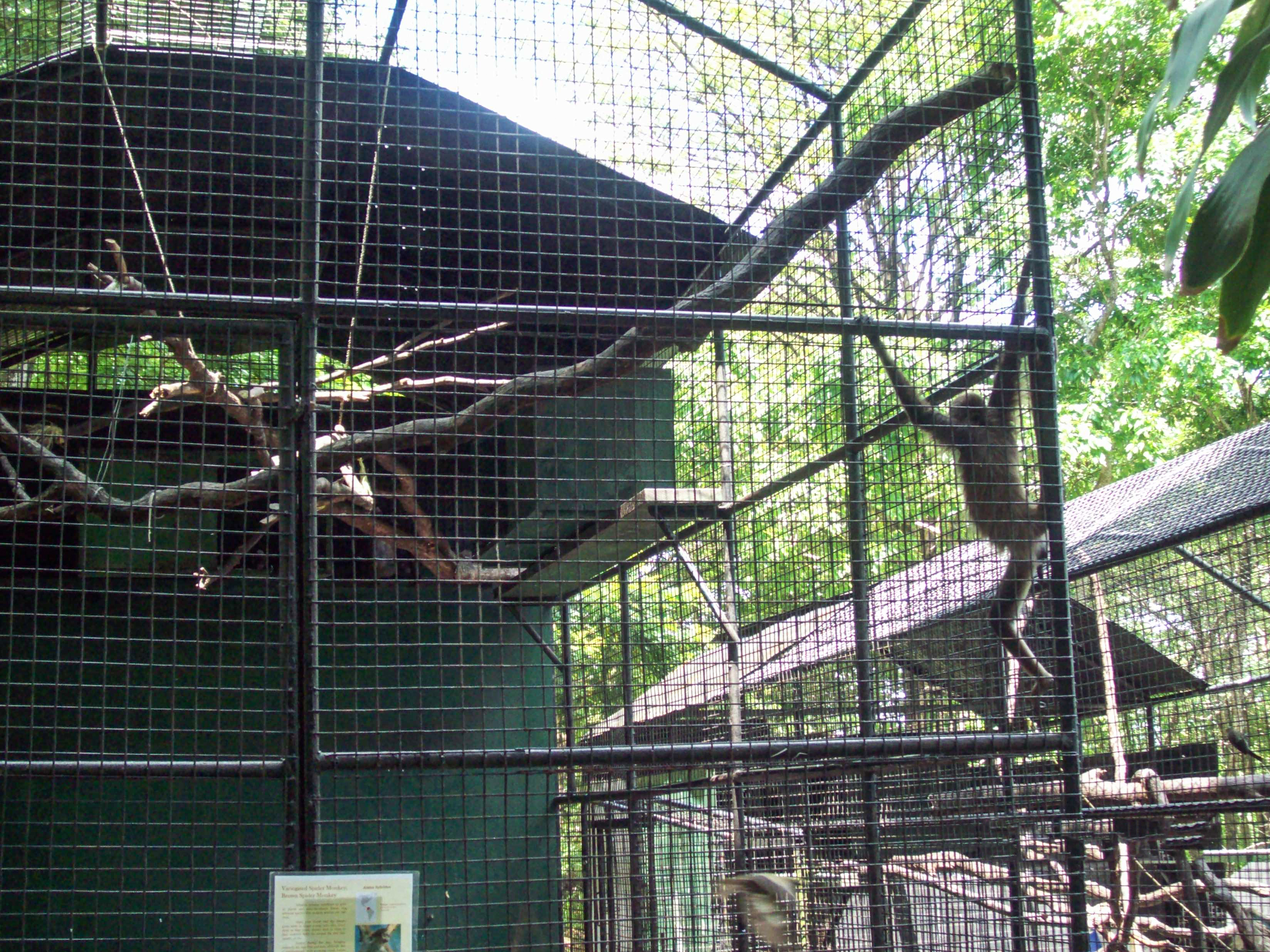 Emperor Valley Zoo: Destination Trinidad and Tobago | Tours, Holidays ...