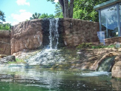 Emperor Valley Zoo: Destination Trinidad and Tobago | Tours, Holidays ...