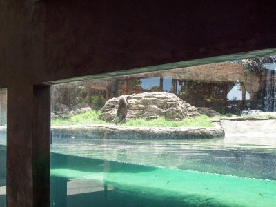 Emperor Valley Zoo: Destination Trinidad and Tobago | Tours, Holidays ...
