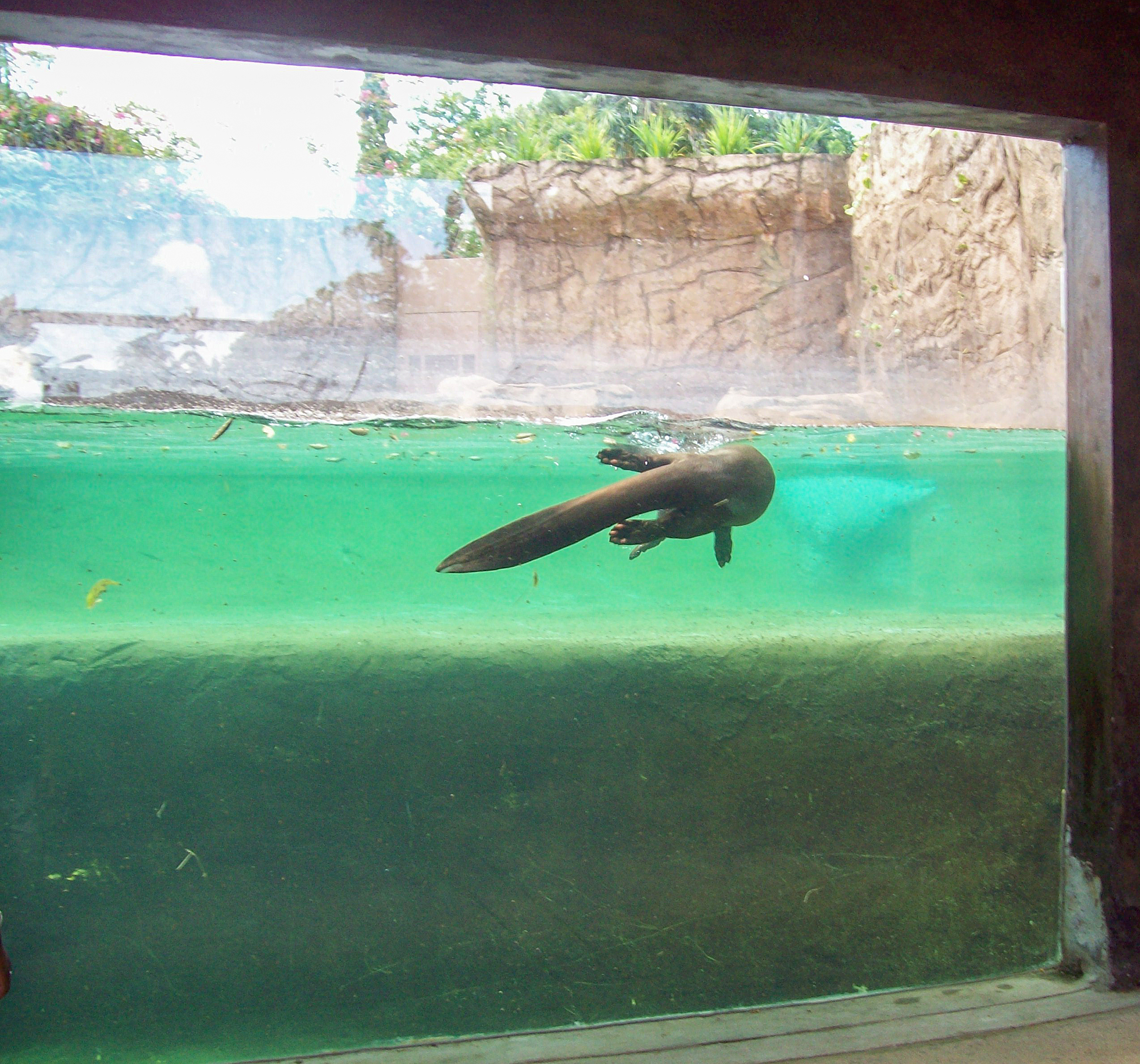 Emperor Valley Zoo: Destination Trinidad and Tobago | Tours, Holidays ...