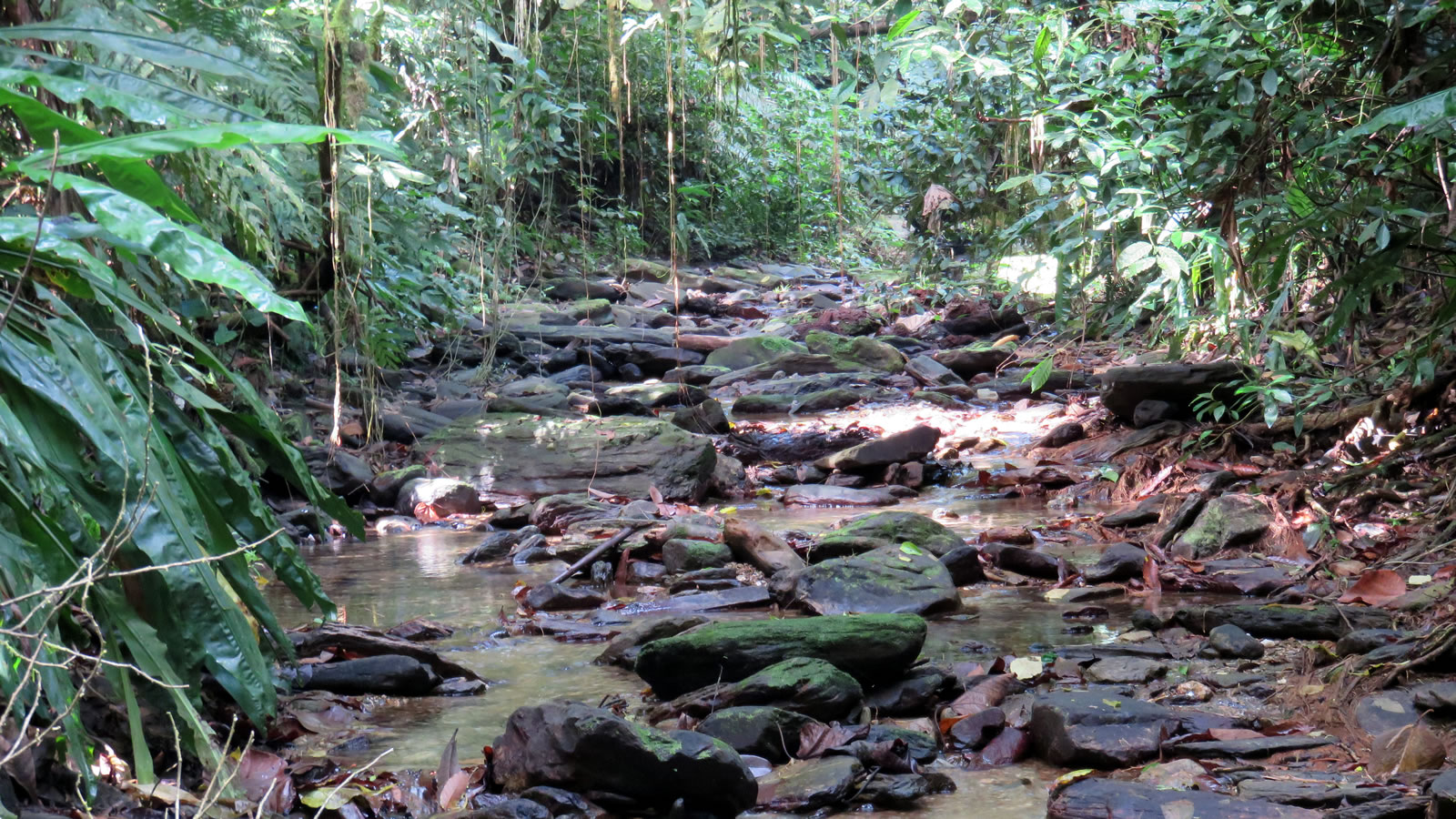 Angel Falls: Destination Trinidad and Tobago | Tours, Holidays ...
