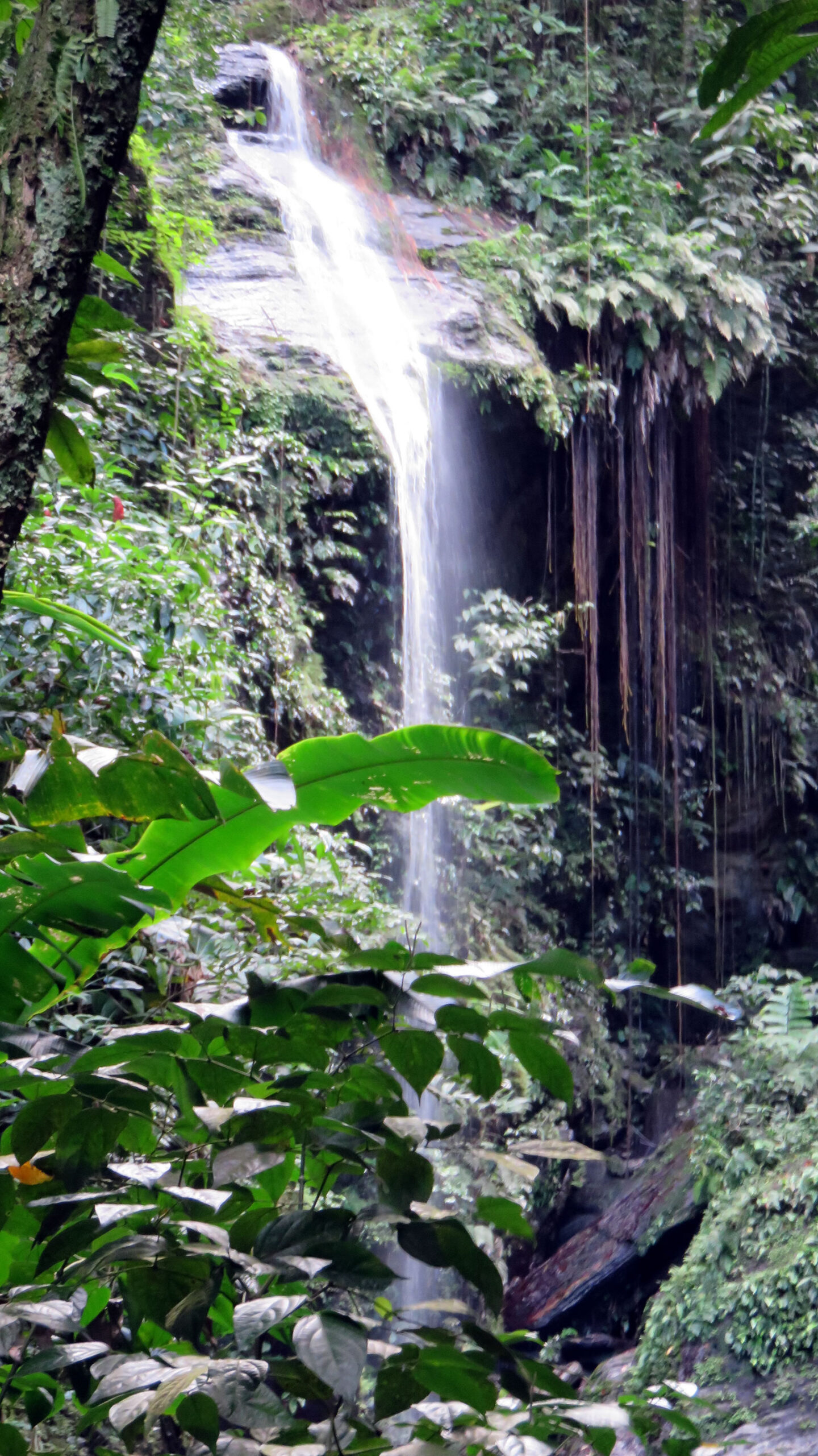 Angel Falls: Destination Trinidad and Tobago | Tours, Holidays ...