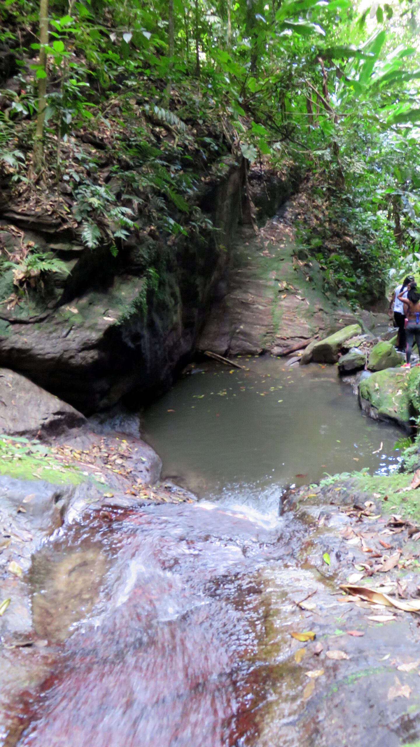 Angel Falls: Destination Trinidad and Tobago | Tours, Holidays ...