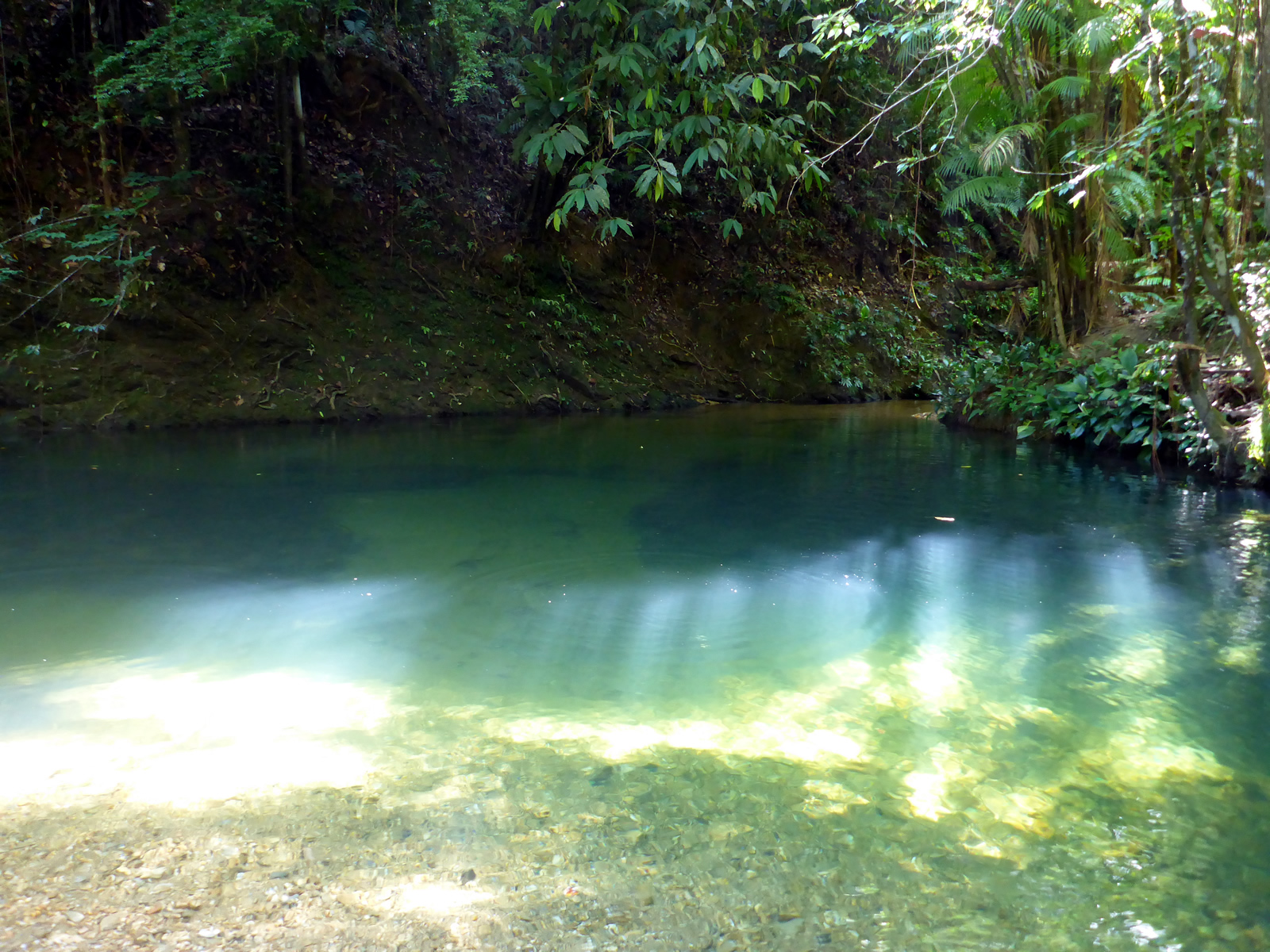 Avocat Waterfall: Destination Trinidad and Tobago | Tours, Holidays ...