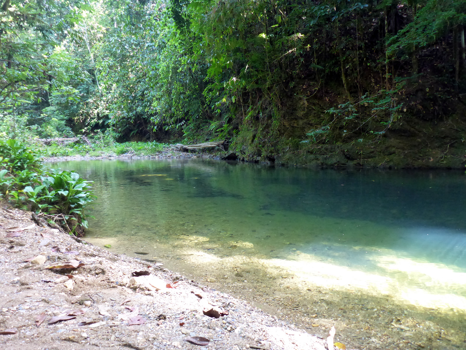 Avocat Waterfall: Destination Trinidad and Tobago | Tours, Holidays ...