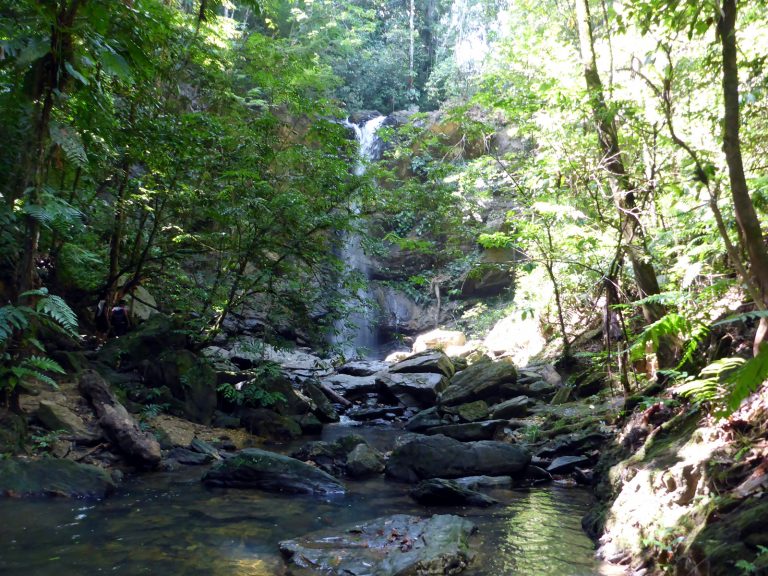 Avocat Waterfall: Destination Trinidad and Tobago | Tours, Holidays ...