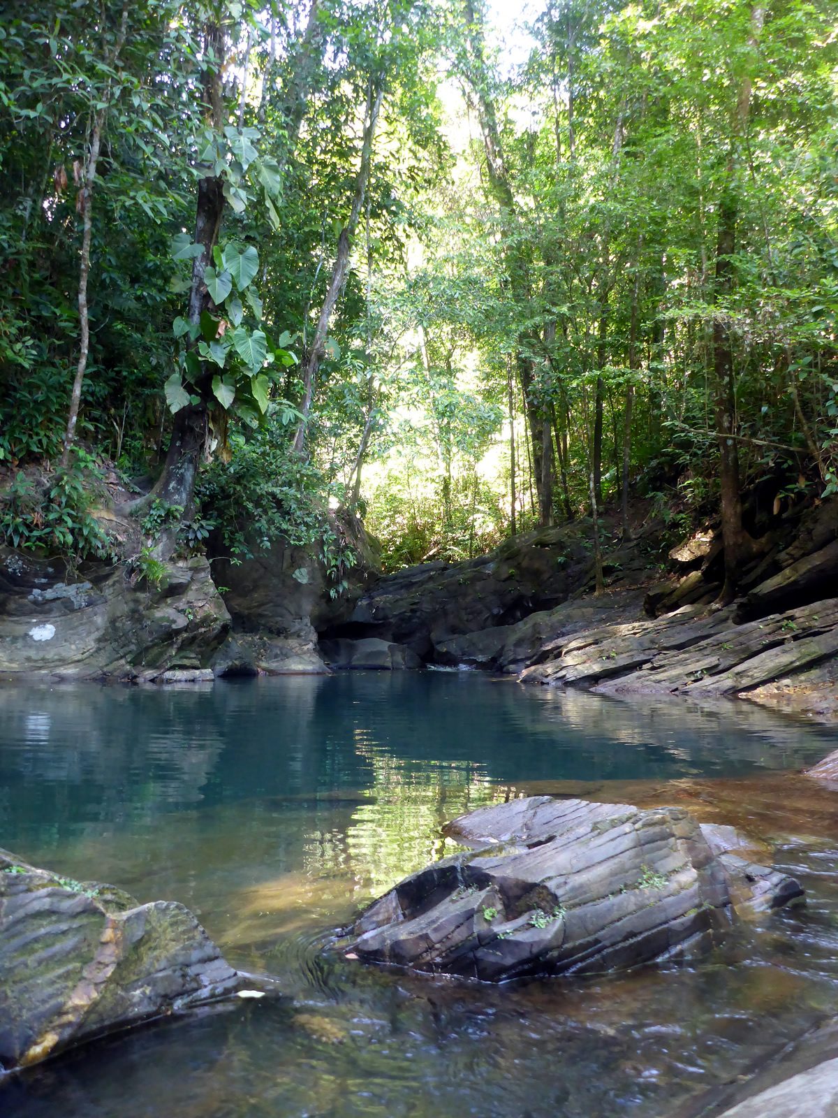 Avocat Waterfall: Destination Trinidad and Tobago | Tours, Holidays ...