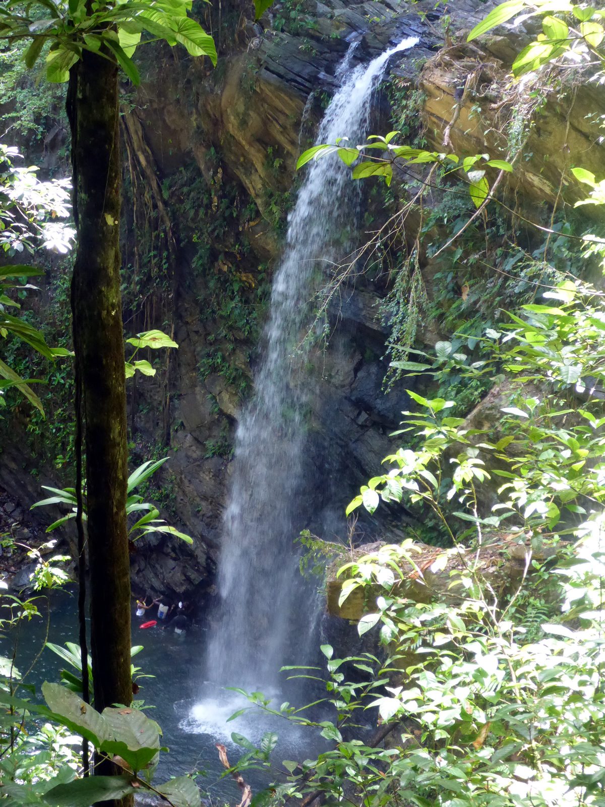 Avocat Waterfall: Destination Trinidad and Tobago | Tours, Holidays ...