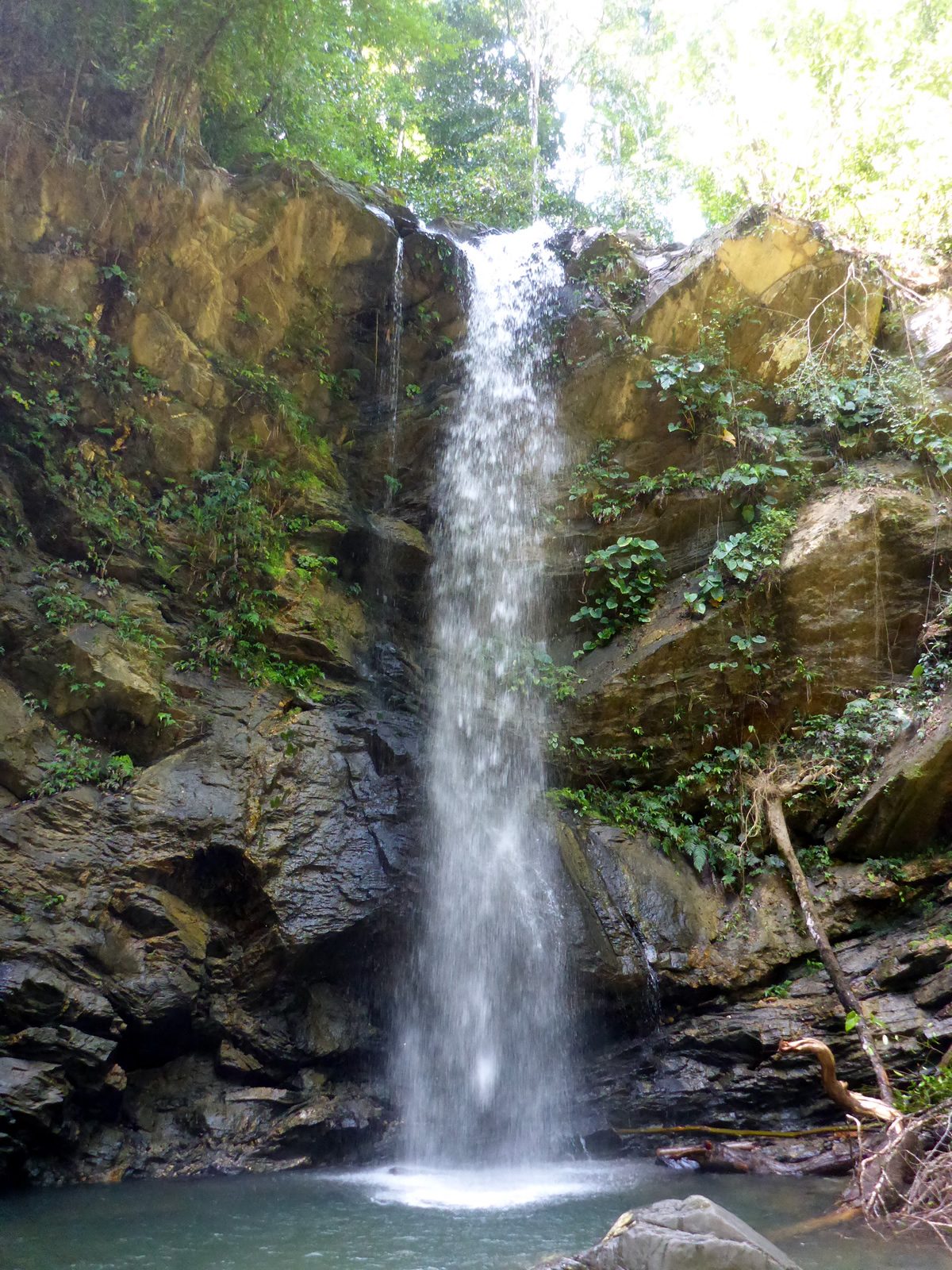 Avocat Waterfall: Destination Trinidad and Tobago | Tours, Holidays ...