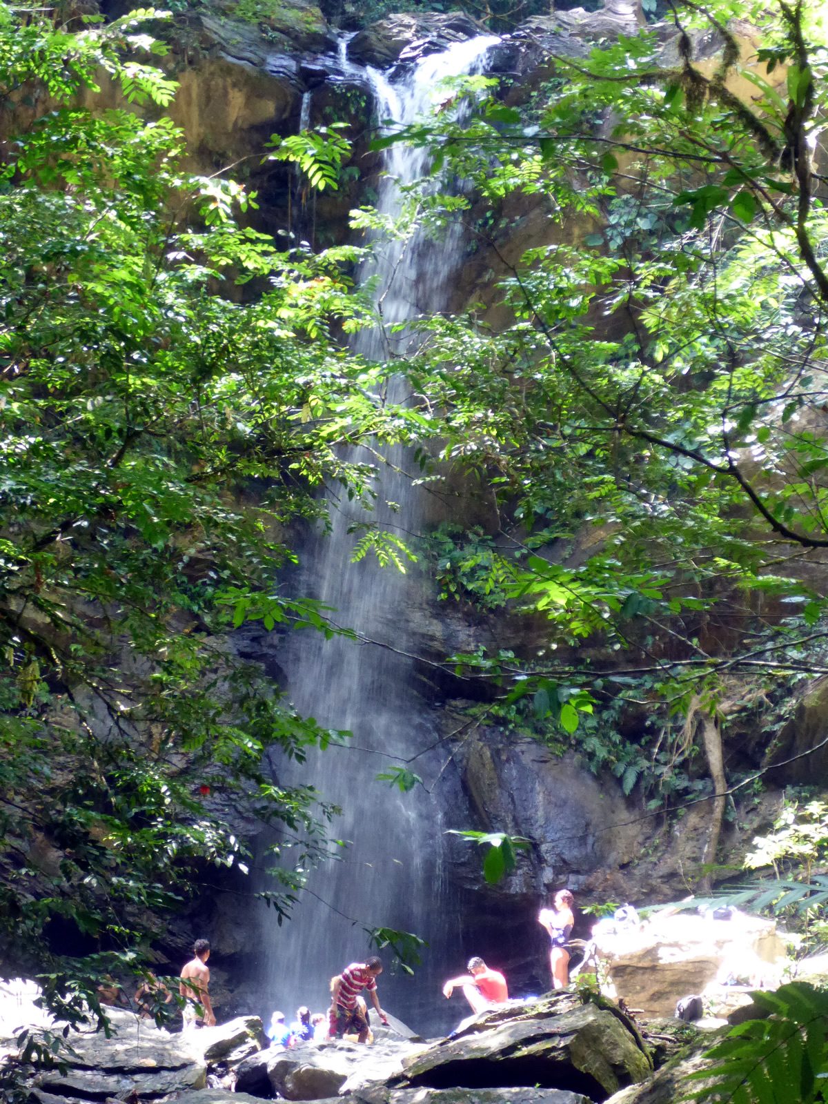 Avocat Waterfall: Destination Trinidad and Tobago | Tours, Holidays ...
