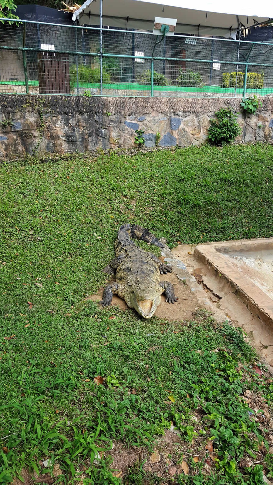 Emperor Valley Zoo: Destination Trinidad and Tobago | Tours, Holidays ...
