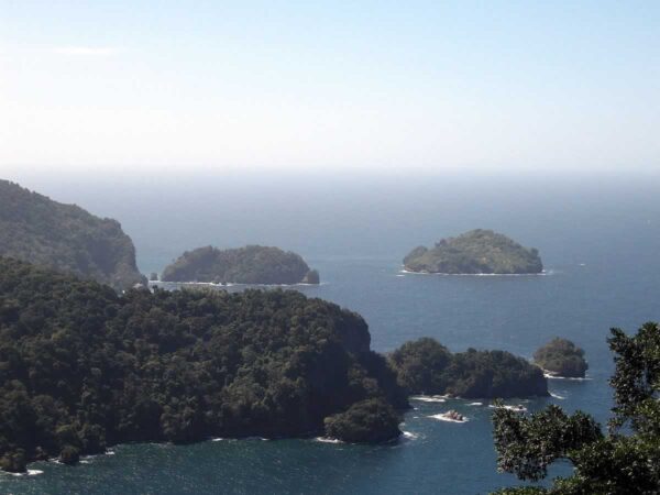 Avocat Waterfall: Destination Trinidad and Tobago | Tours, Holidays ...