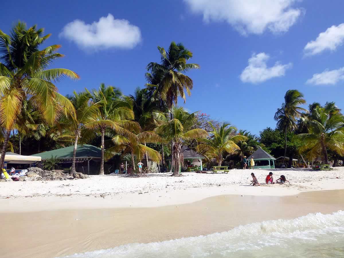 Pigeon Point: Destination Trinidad and Tobago | Tours, Holidays ...