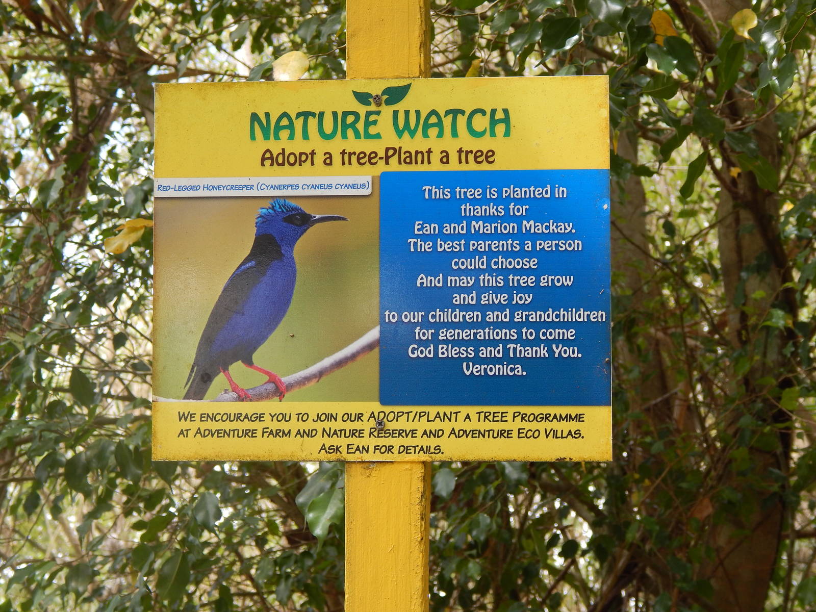 Adventure Farm and Nature Reserve: Destination Trinidad and Tobago ...