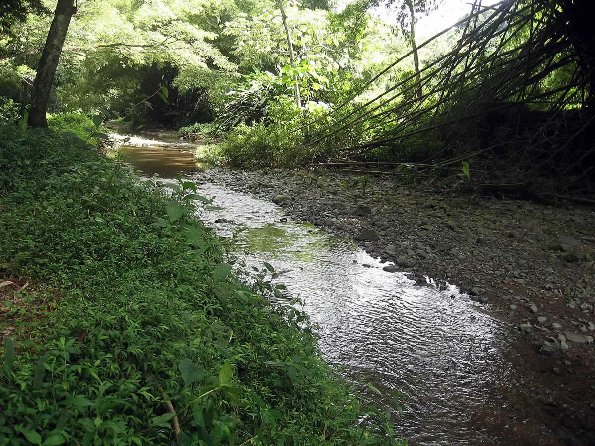 Argyle Waterfall: Destination Trinidad and Tobago | Tours, Holidays ...