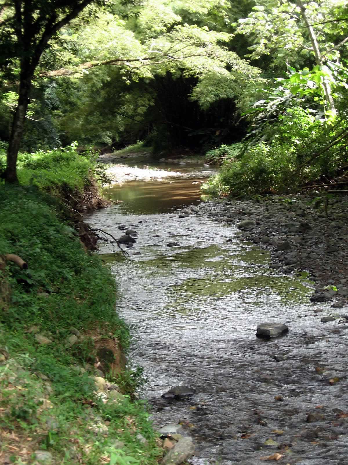 Argyle Waterfall: Destination Trinidad and Tobago | Tours, Holidays ...