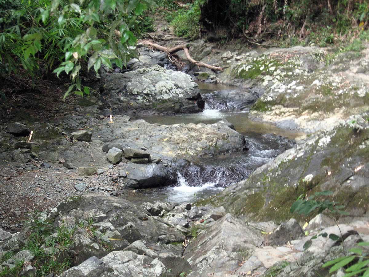 Argyle Waterfall: Destination Trinidad and Tobago | Tours, Holidays ...