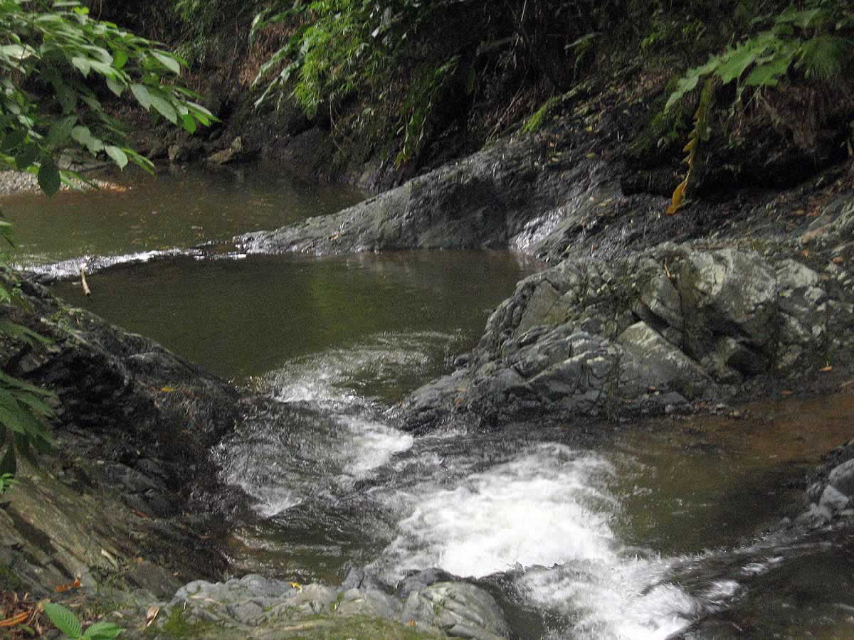 Argyle Waterfall: Destination Trinidad and Tobago | Tours, Holidays ...