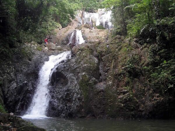 Seven of the Best Waterfalls in Trinidad and Tobago: Destination ...