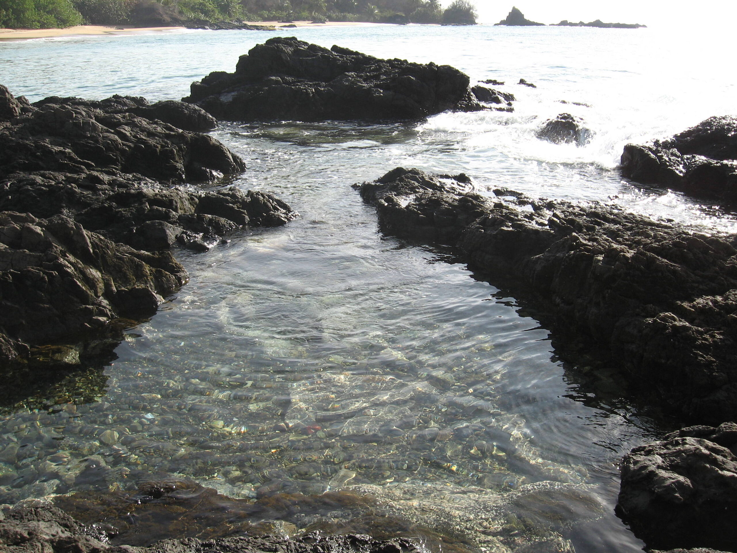 Back Bay: Destination Trinidad and Tobago | Tours, Holidays, Vacations ...