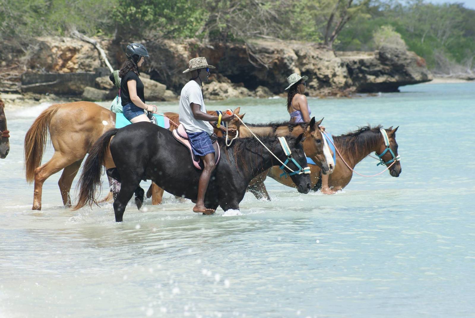 Being With Horses: Destination Trinidad and Tobago | Tours, Holidays ...