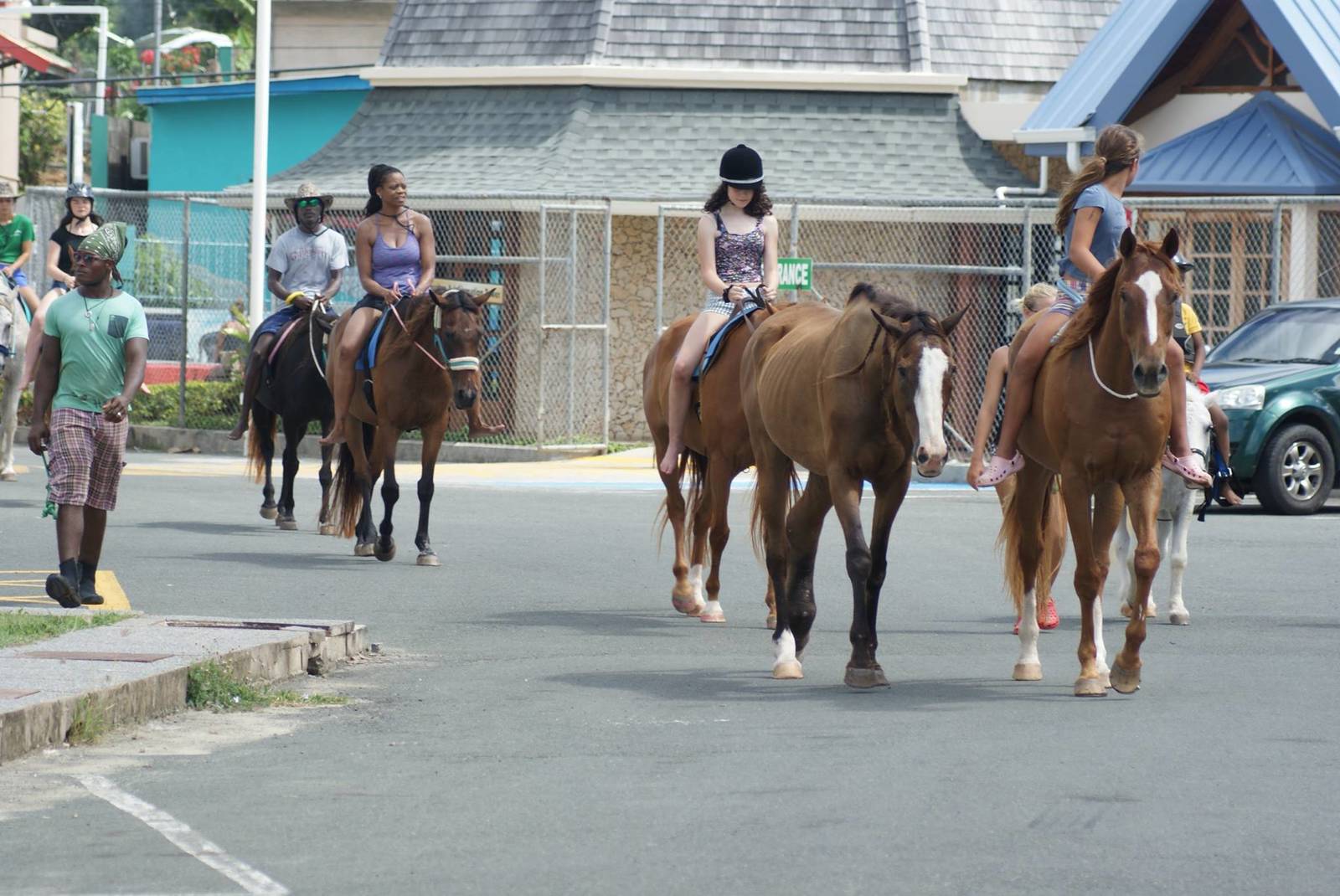 Being With Horses: Destination Trinidad and Tobago | Tours, Holidays ...