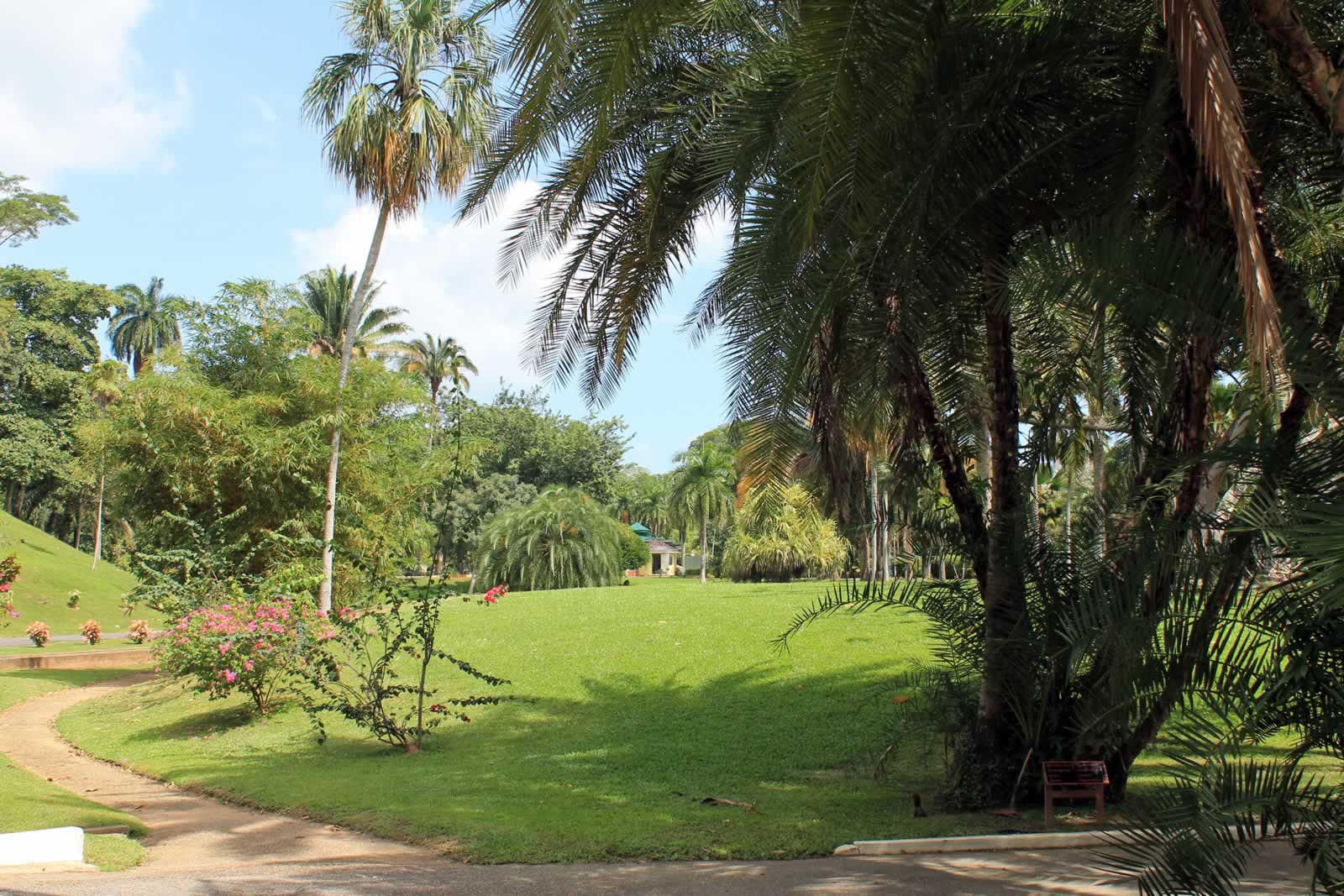 Botanic Gardens: Destination Trinidad and Tobago | Tours, Holidays ...