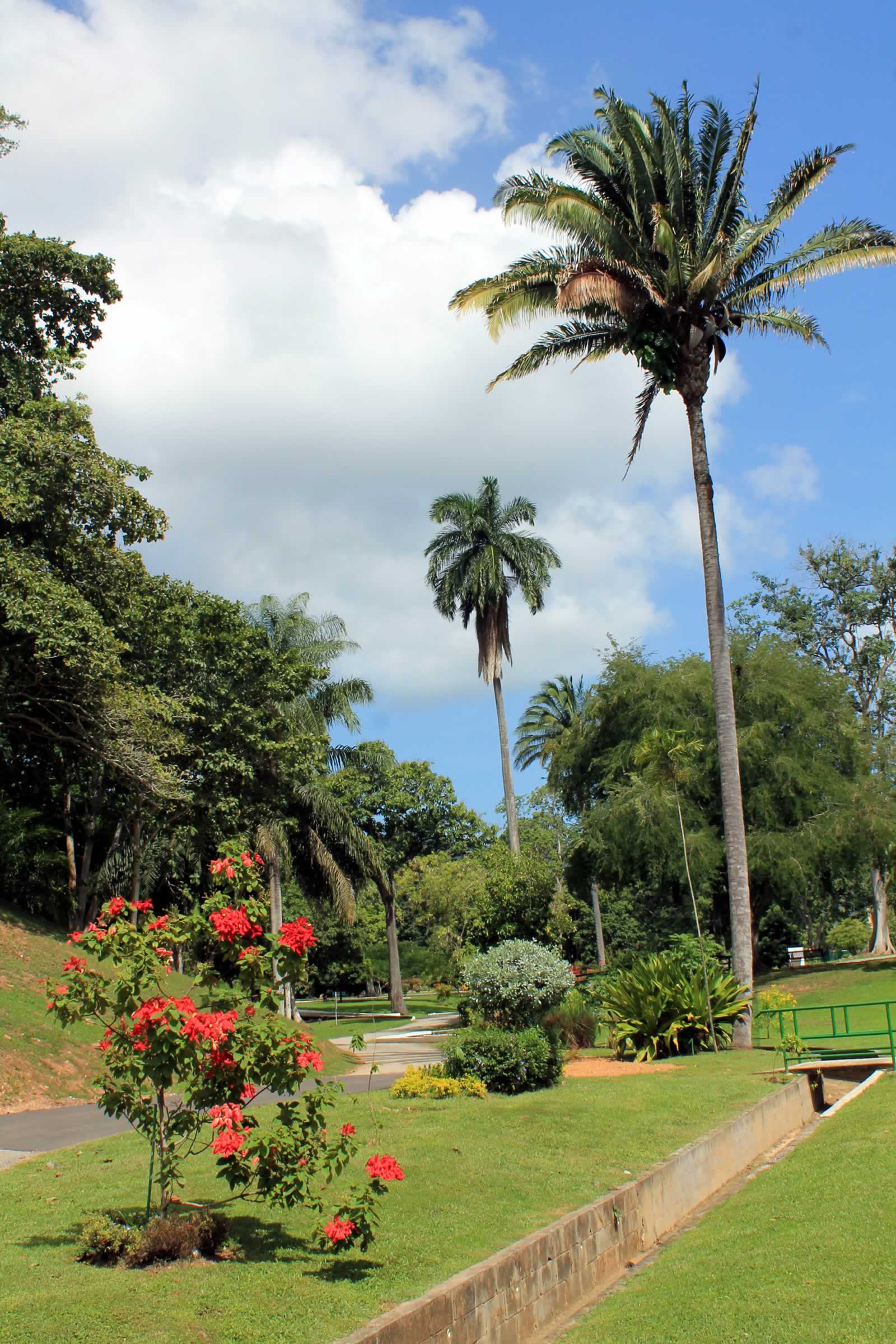 Botanic Gardens: Destination Trinidad and Tobago | Tours, Holidays ...