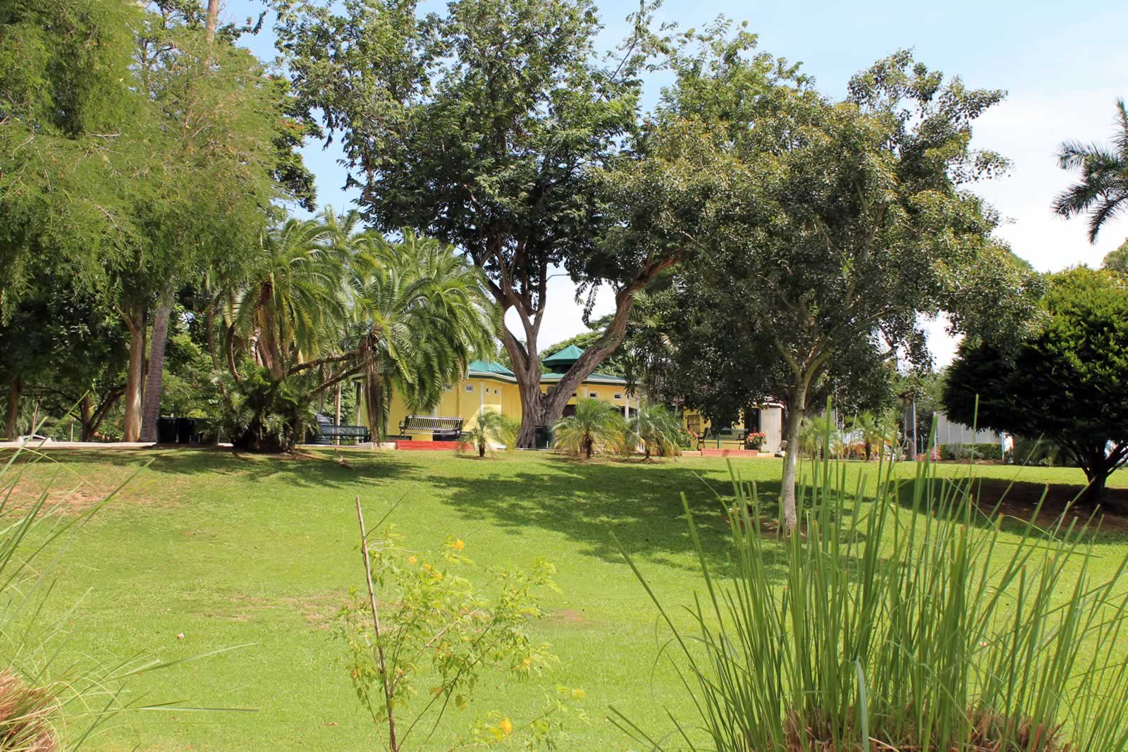 Botanic Gardens: Destination Trinidad and Tobago | Tours, Holidays ...